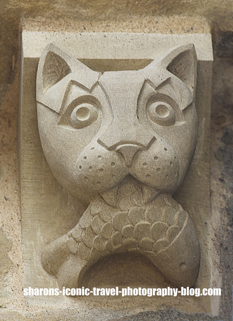 Church Cats – Sharon's Iconic Travel Photography Blog