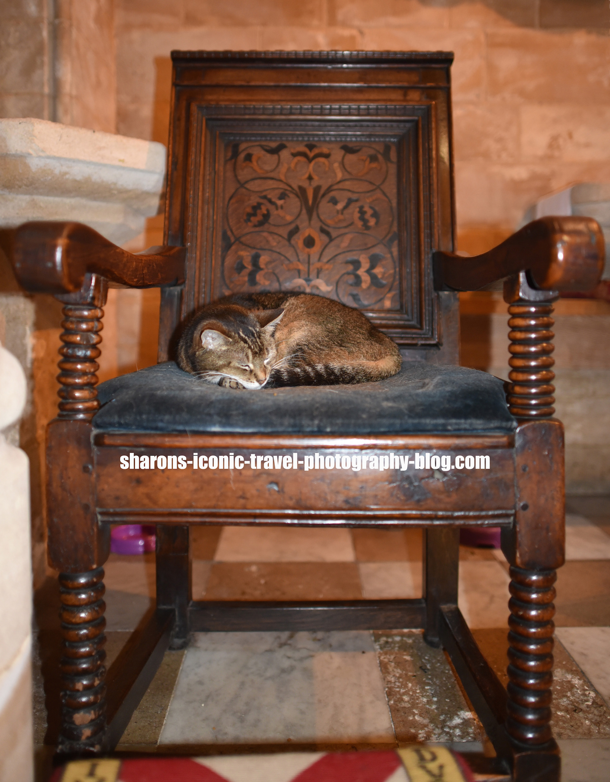 Church Cats – Sharon's Iconic Travel Photography Blog