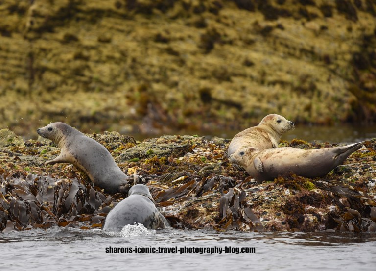 Hayle – Sharon's Iconic Travel Photography Blog