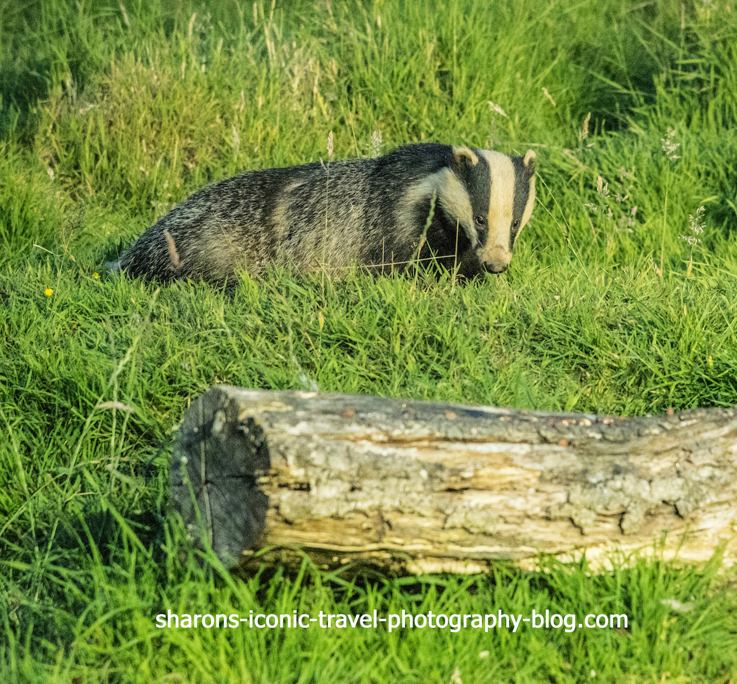 North Buckham Farm – Sharon's Iconic Travel Photography Blog