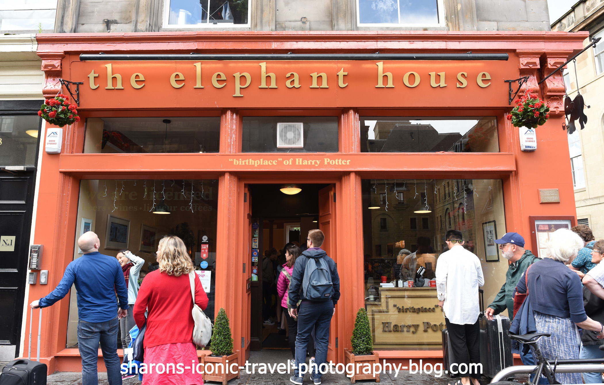 Elephant House-Harry Potter – Sharon's Iconic Travel Photography Blog