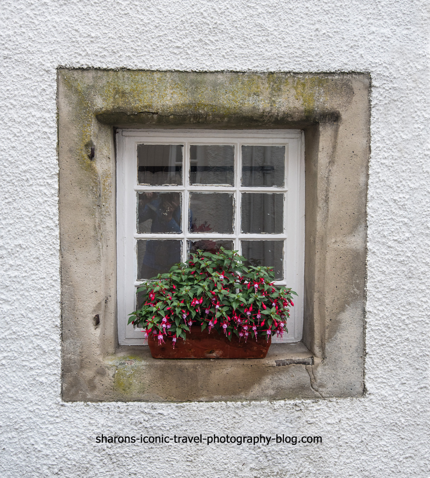 Scottish Windows – Sharon's Iconic Travel Photography Blog
