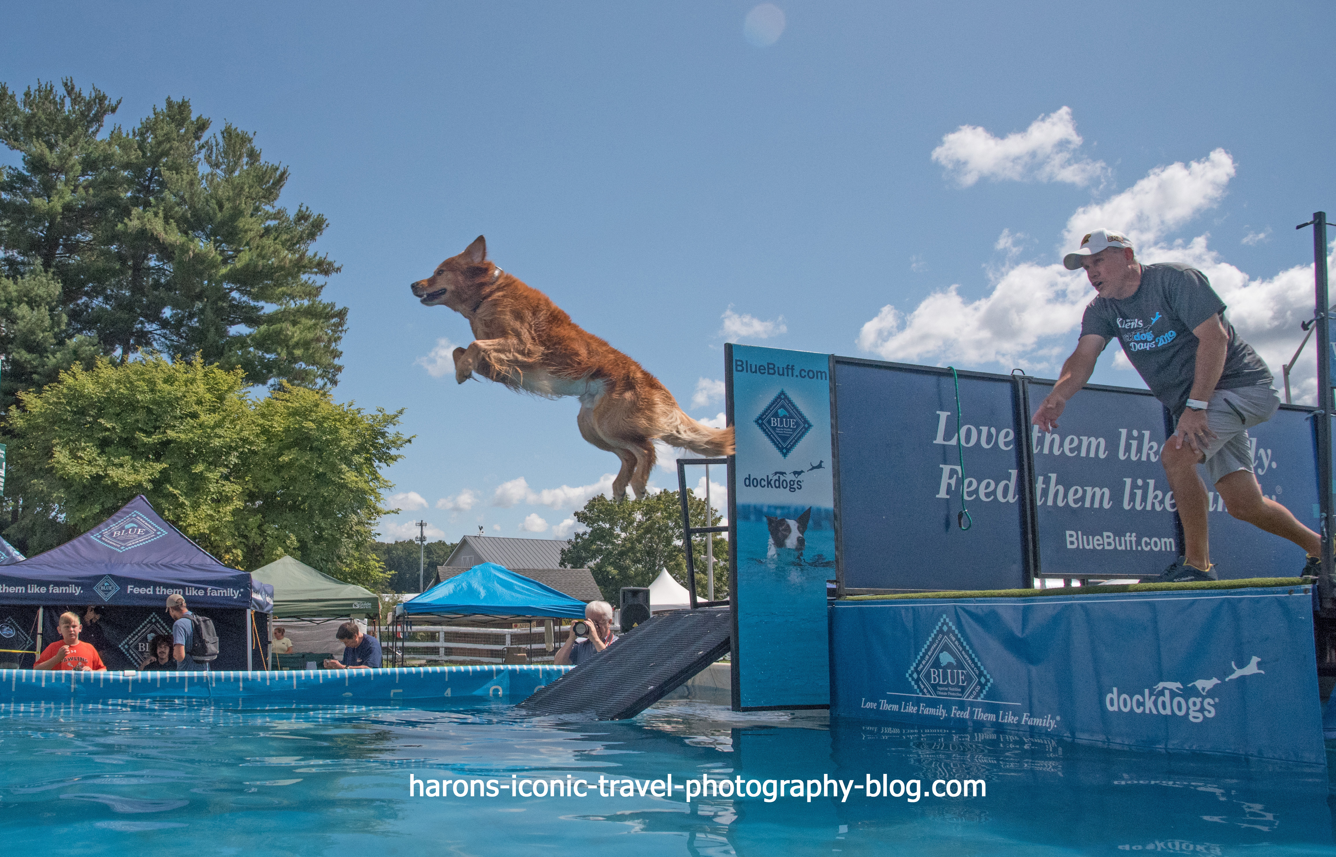 Dock Dogs – Sharon's Iconic Travel Photography Blog