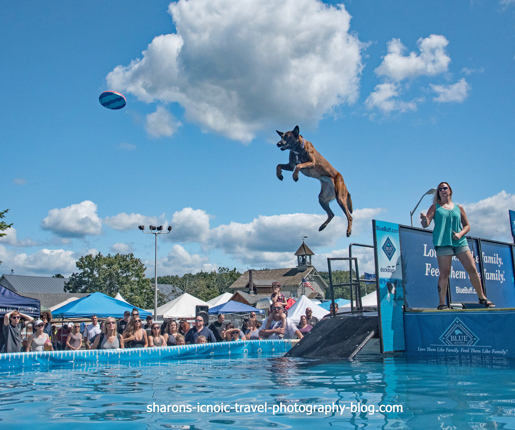 Dock Dogs – Sharon's Iconic Travel Photography Blog