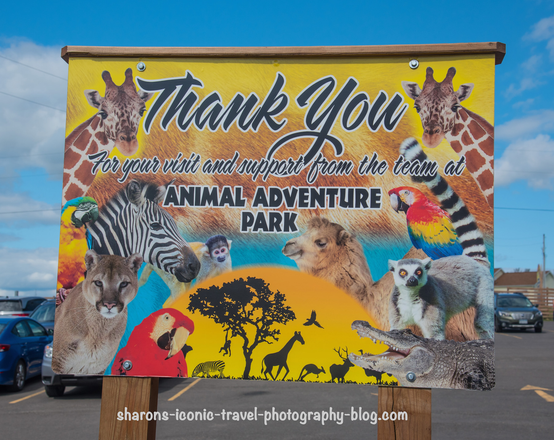 Animal Adventure Park – Sharon's Iconic Travel Photography Blog