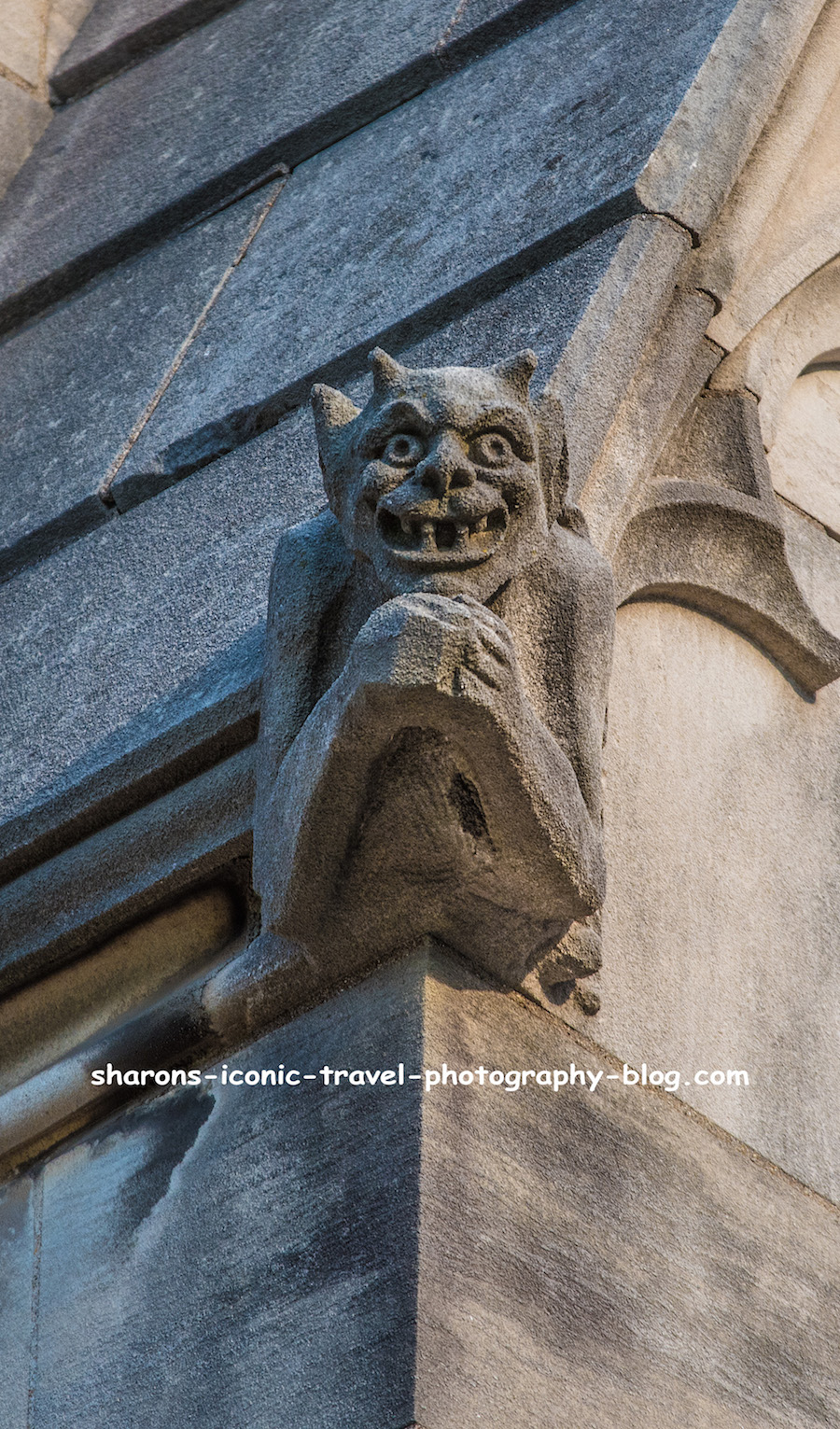 National Cathedral Gargoyles – Sharon's Iconic Travel Photography Blog