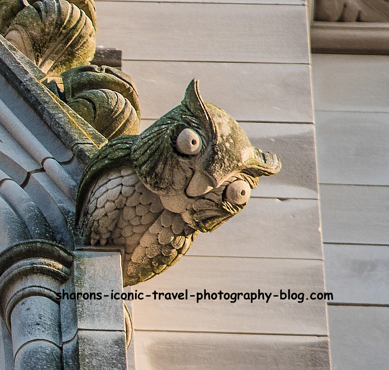 National Cathedral Gargoyles – Sharon's Iconic Travel Photography Blog