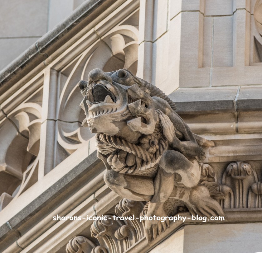 National Cathedral Gargoyles – Sharon's Iconic Travel Photography Blog