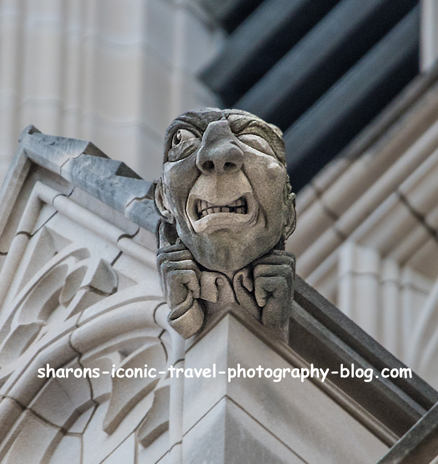 National Cathedral Gargoyles – Sharon's Iconic Travel Photography Blog