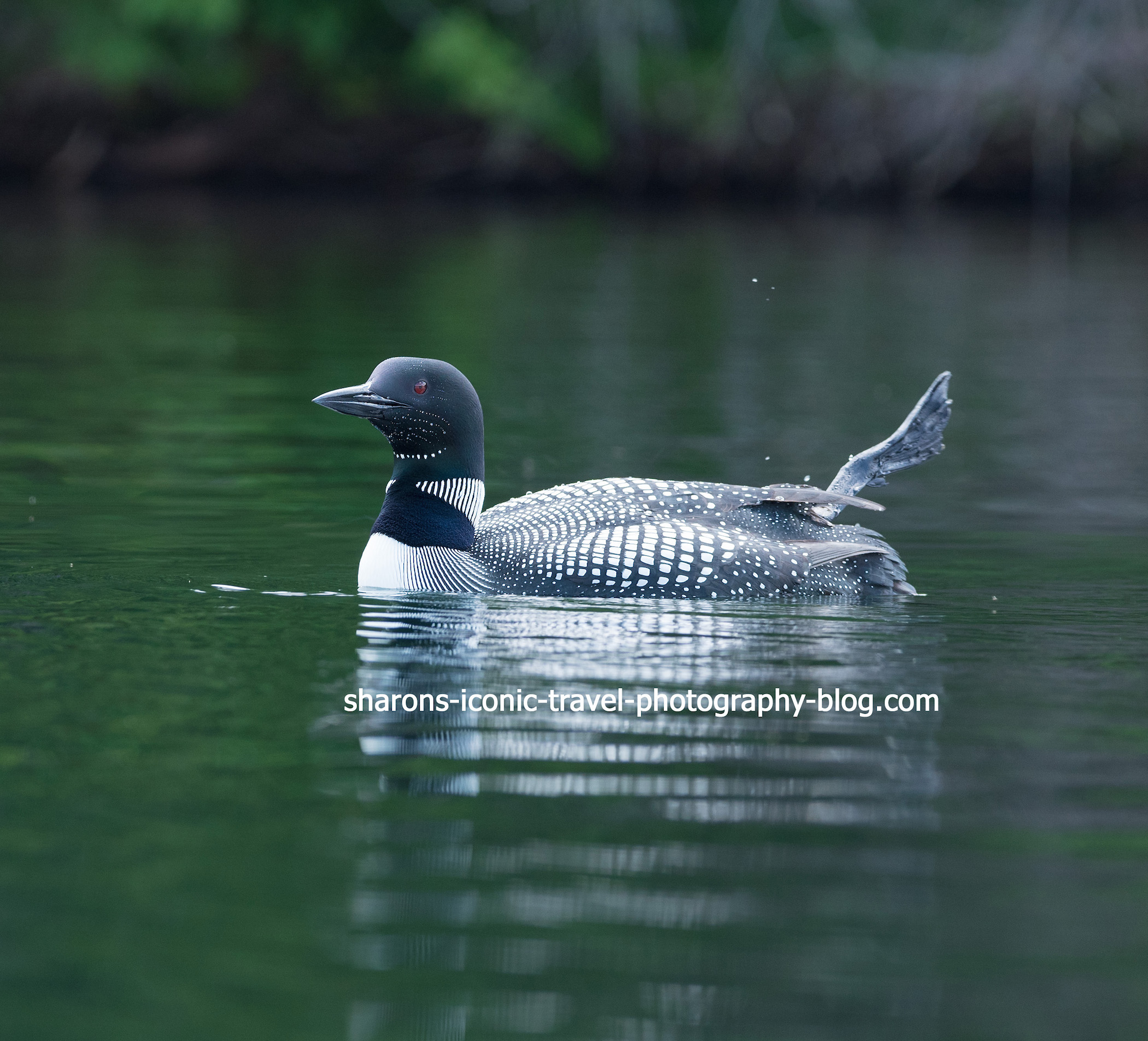 Adirondacks – Sharon's Iconic Travel Photography Blog