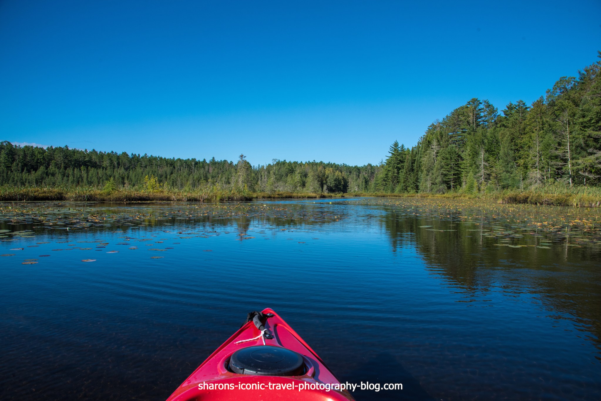 Paddling Jones Pond to Osgood Pond Via Jones Pond Outlet – Sharon's ...