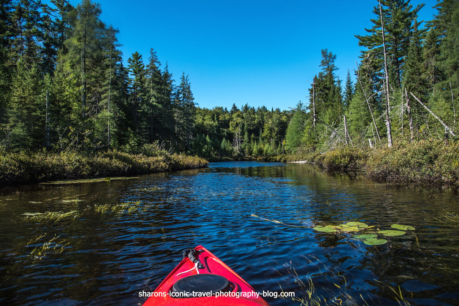 Paddling Jones Pond to Osgood Pond Via Jones Pond Outlet – Sharon's ...