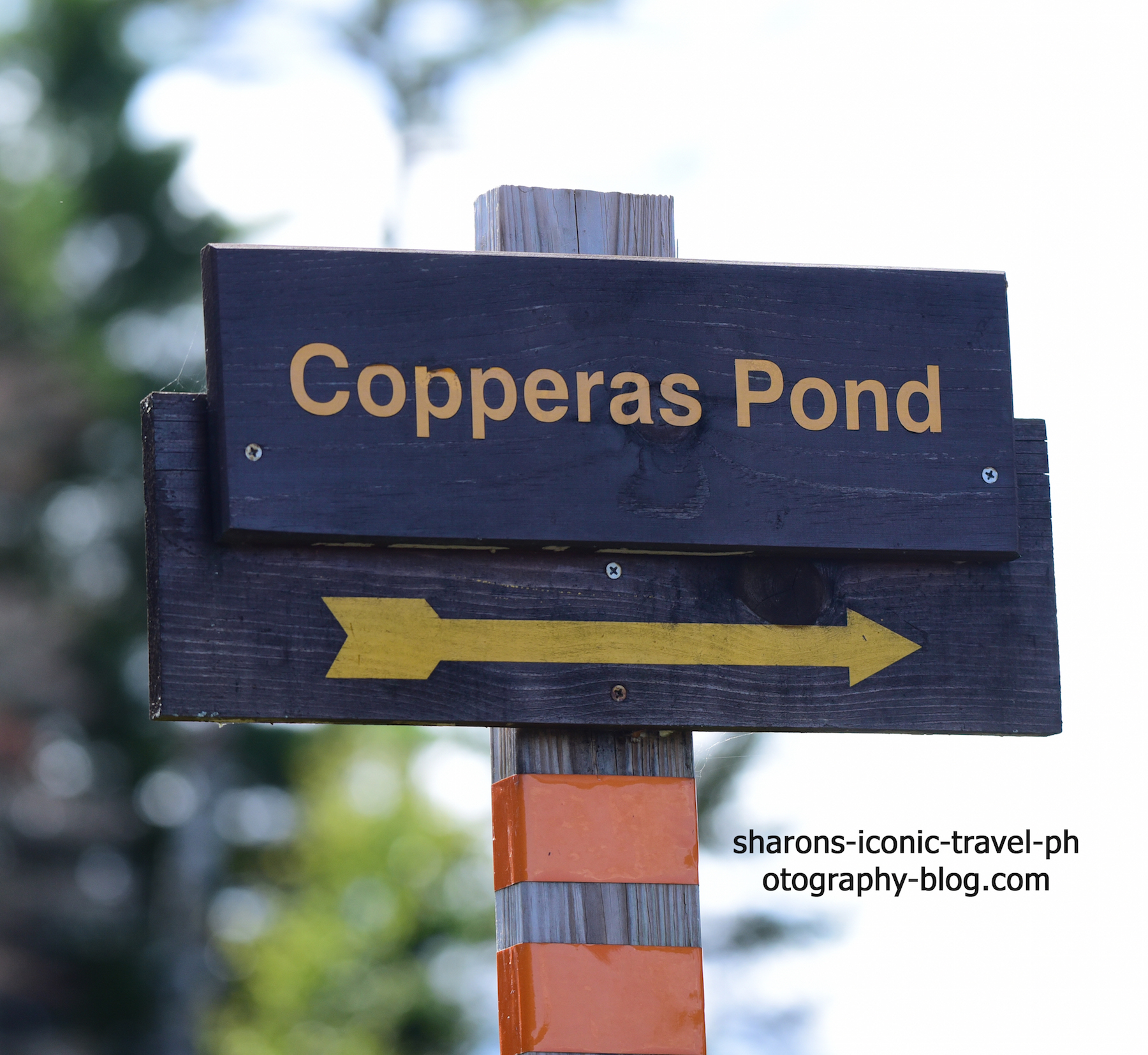 Paddling Fish Creek Ponds to Other Ponds – Sharon's Iconic Travel ...