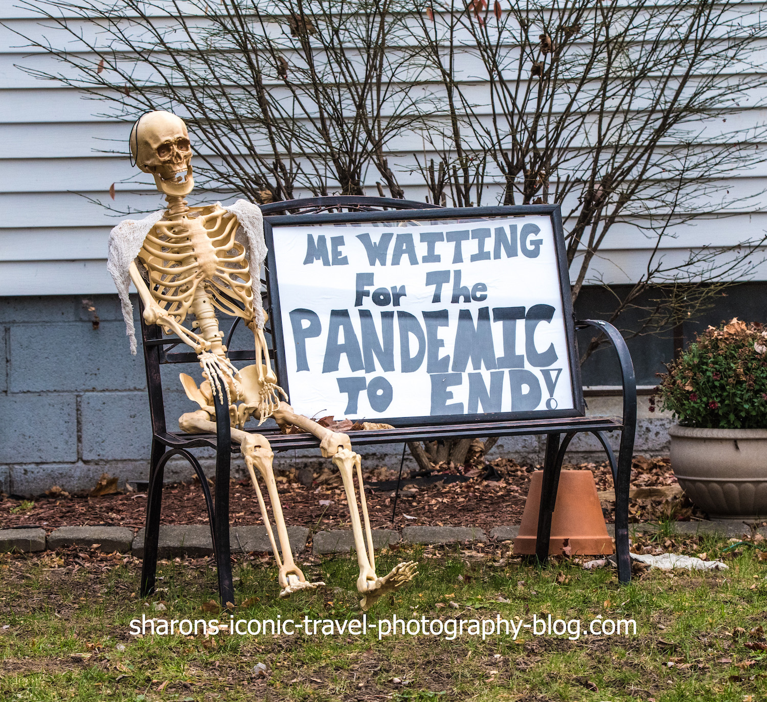 Pandemic Humor – Sharon's Iconic Travel Photography Blog