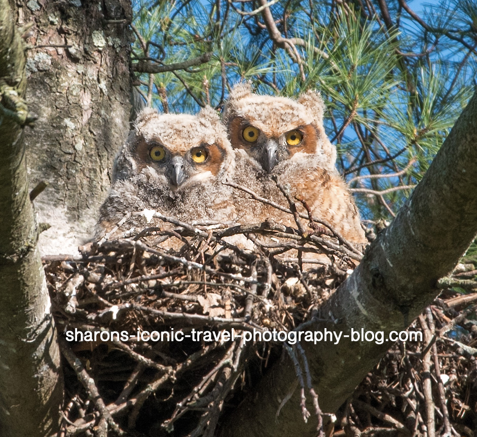 Growing Older – Sharon's Iconic Travel Photography Blog