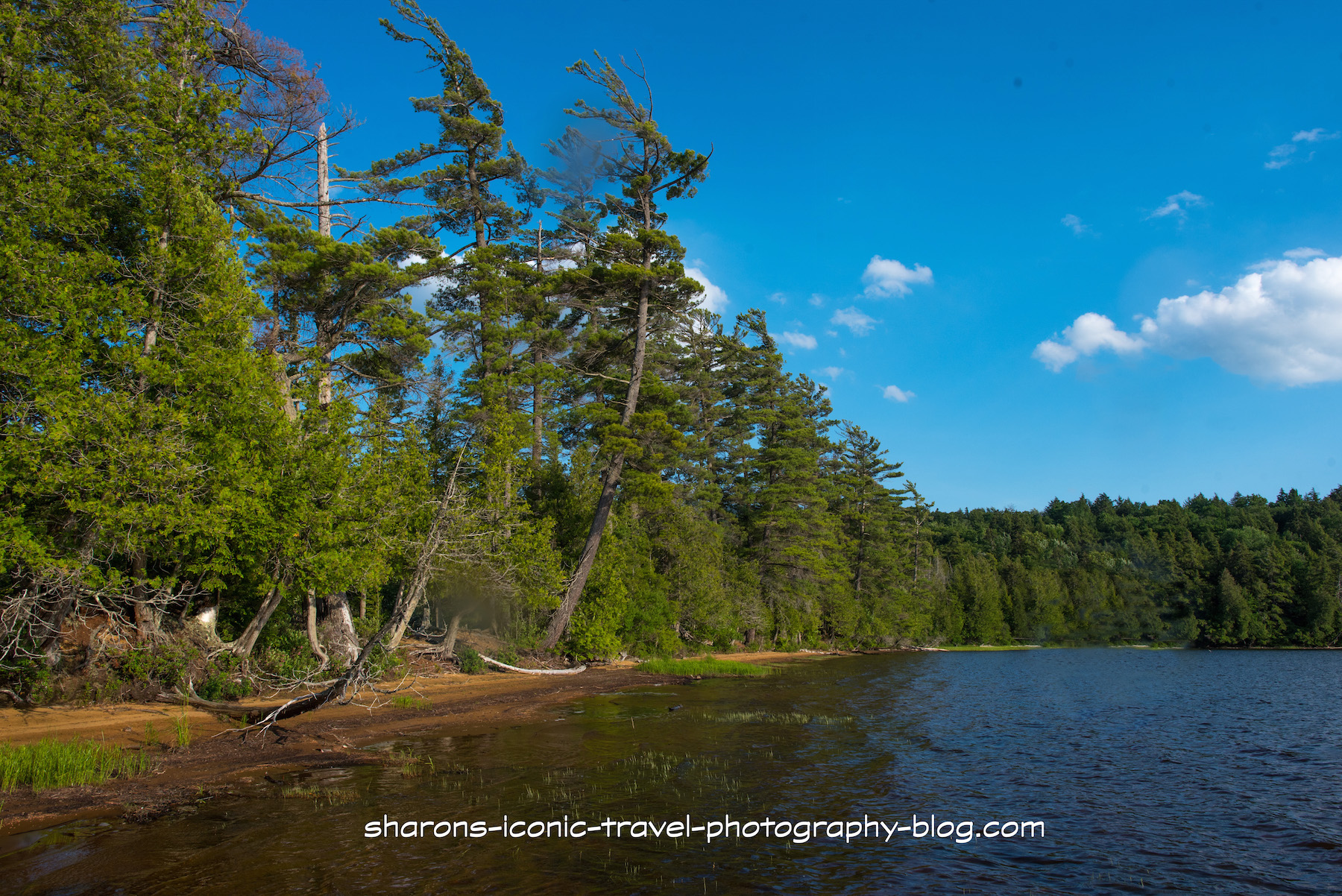 Moose Pond – Sharon's Iconic Travel Photography Blog