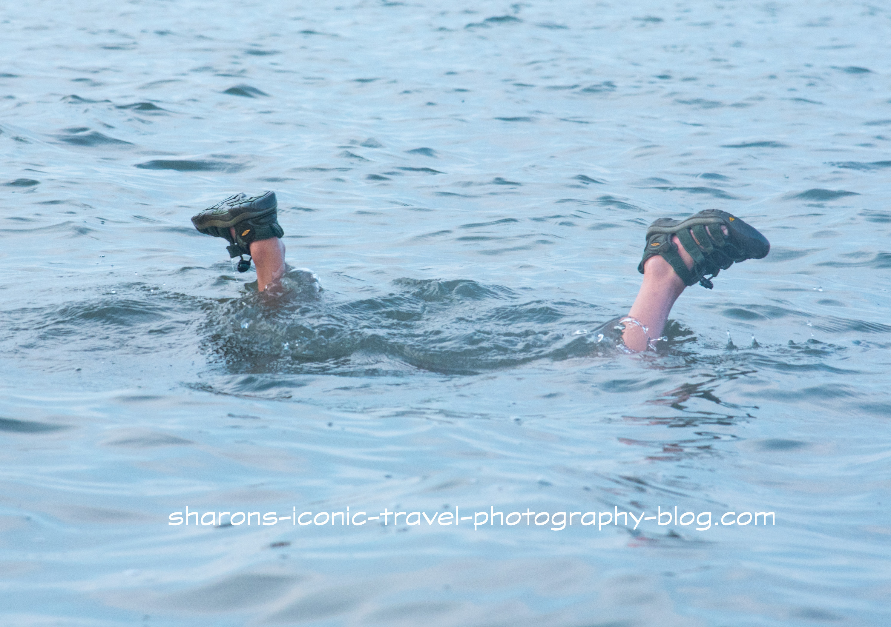 Clamming Near Assateague – Sharon's Iconic Travel Photography Blog