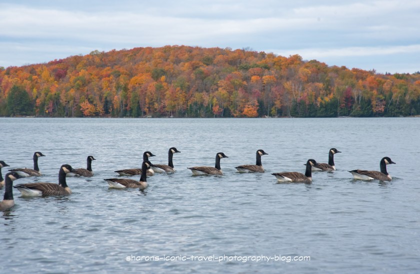 Lake Colby – Sharon's Iconic Travel Photography Blog