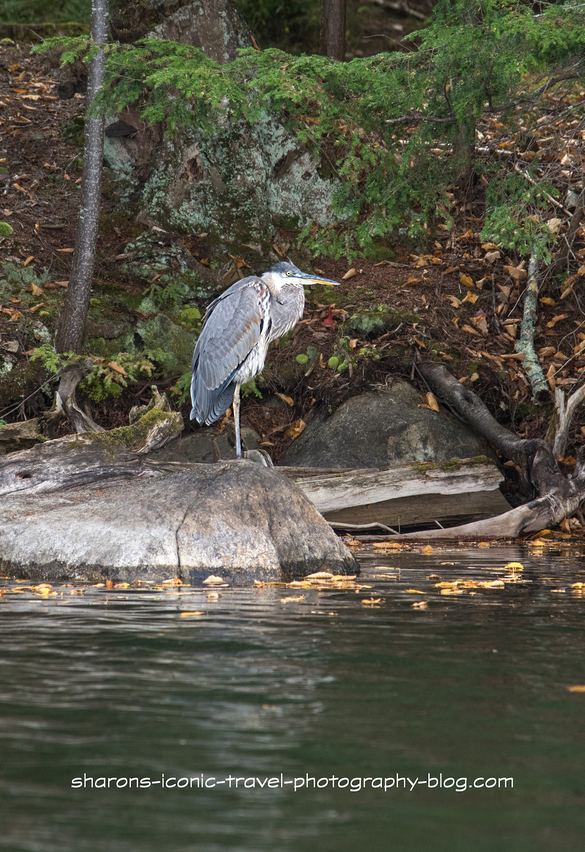 Lake Colby – Sharon's Iconic Travel Photography Blog