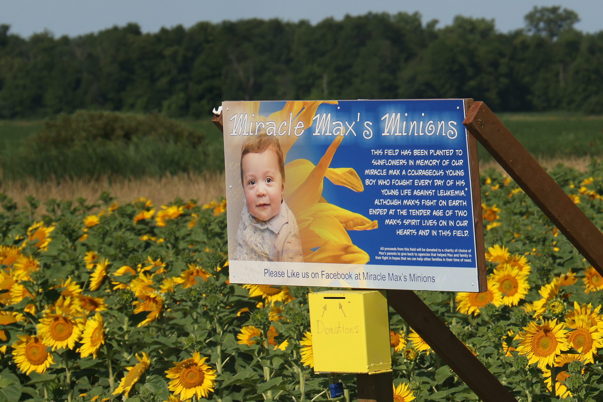 Miracle Max’s Minions – Sharon's Iconic Travel Photography Blog