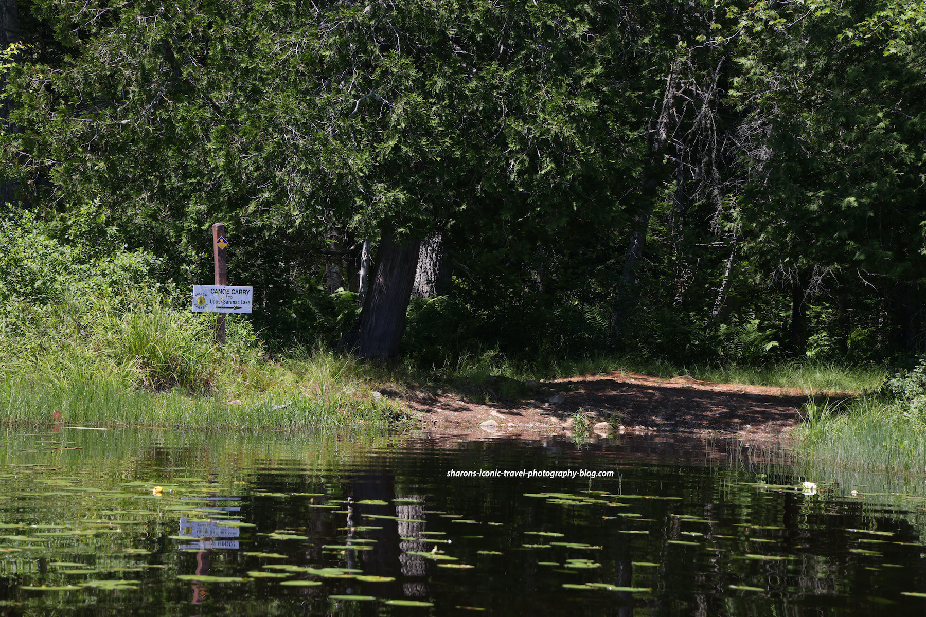 Accessing Middle Saranac Lake Through South Creek – Sharon's Iconic ...