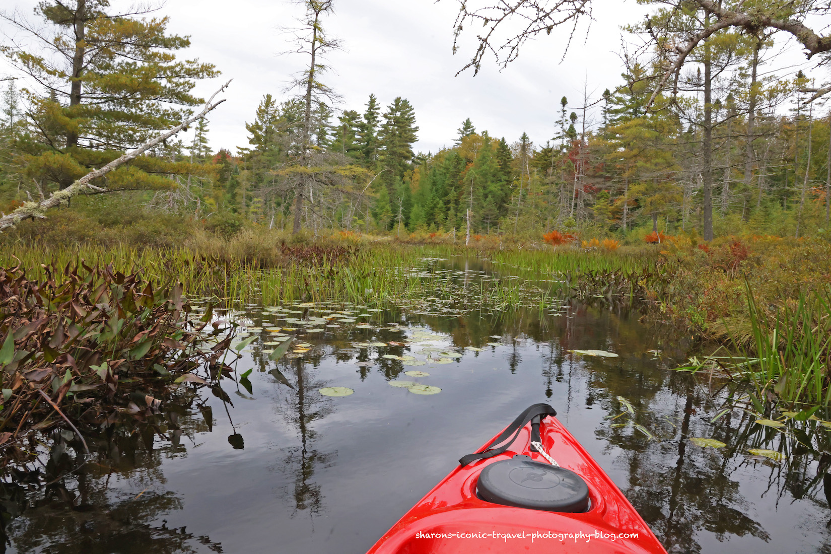 Long Pond – Sharon's Iconic Travel Photography Blog
