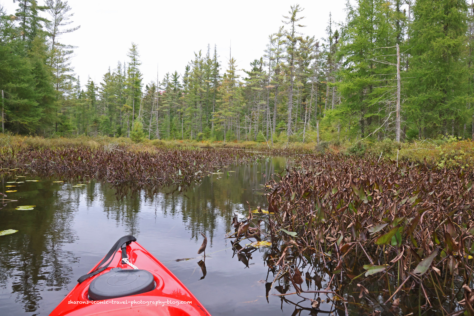 Long Pond – Sharon's Iconic Travel Photography Blog