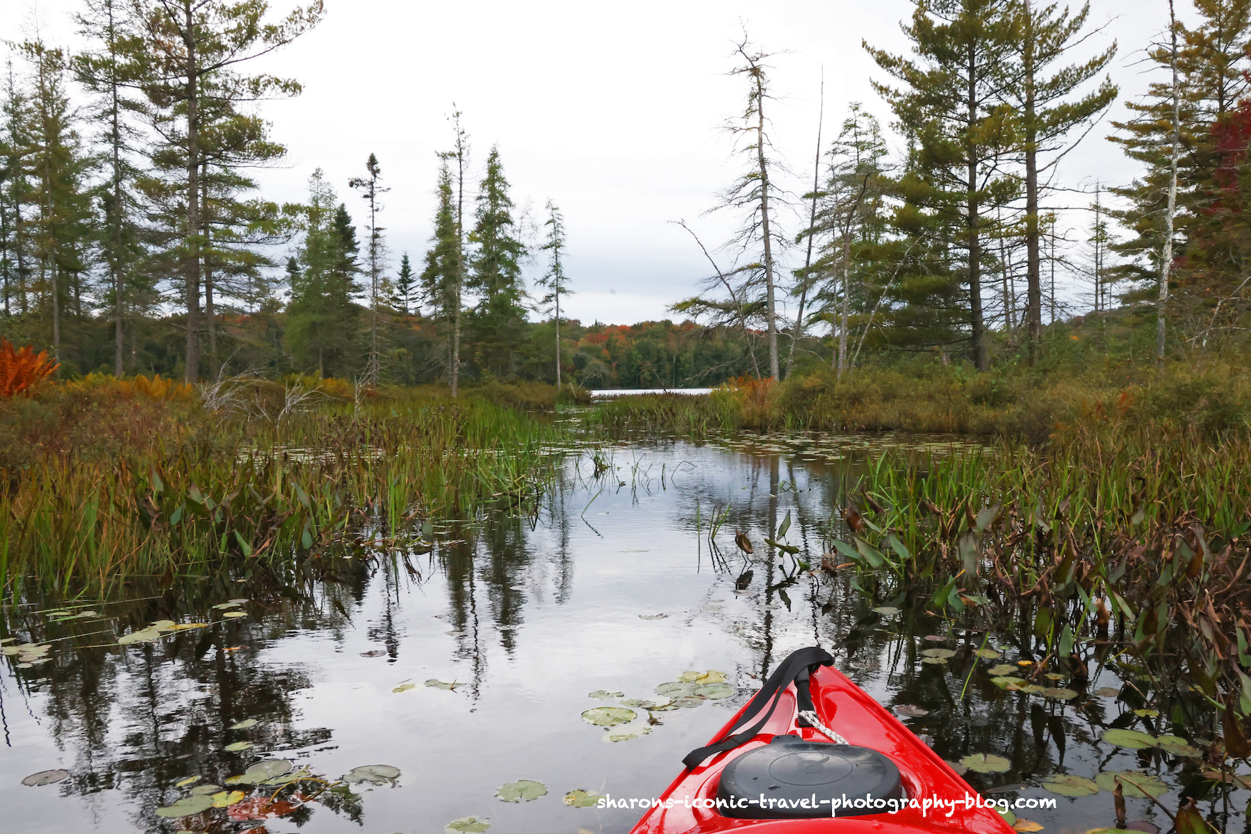 Long Pond – Sharon's Iconic Travel Photography Blog