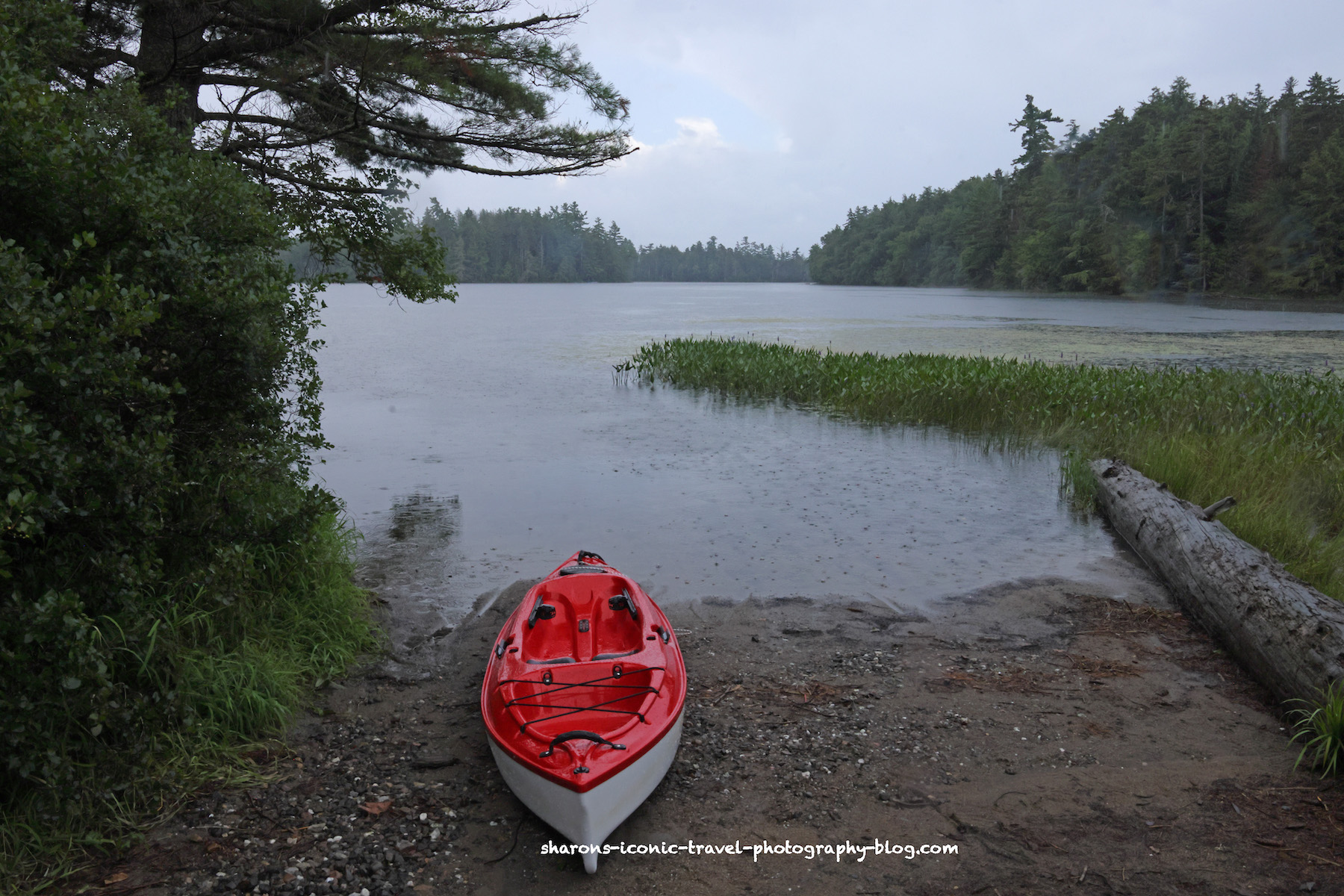 Pollywog Pond – Sharon's Iconic Travel Photography Blog