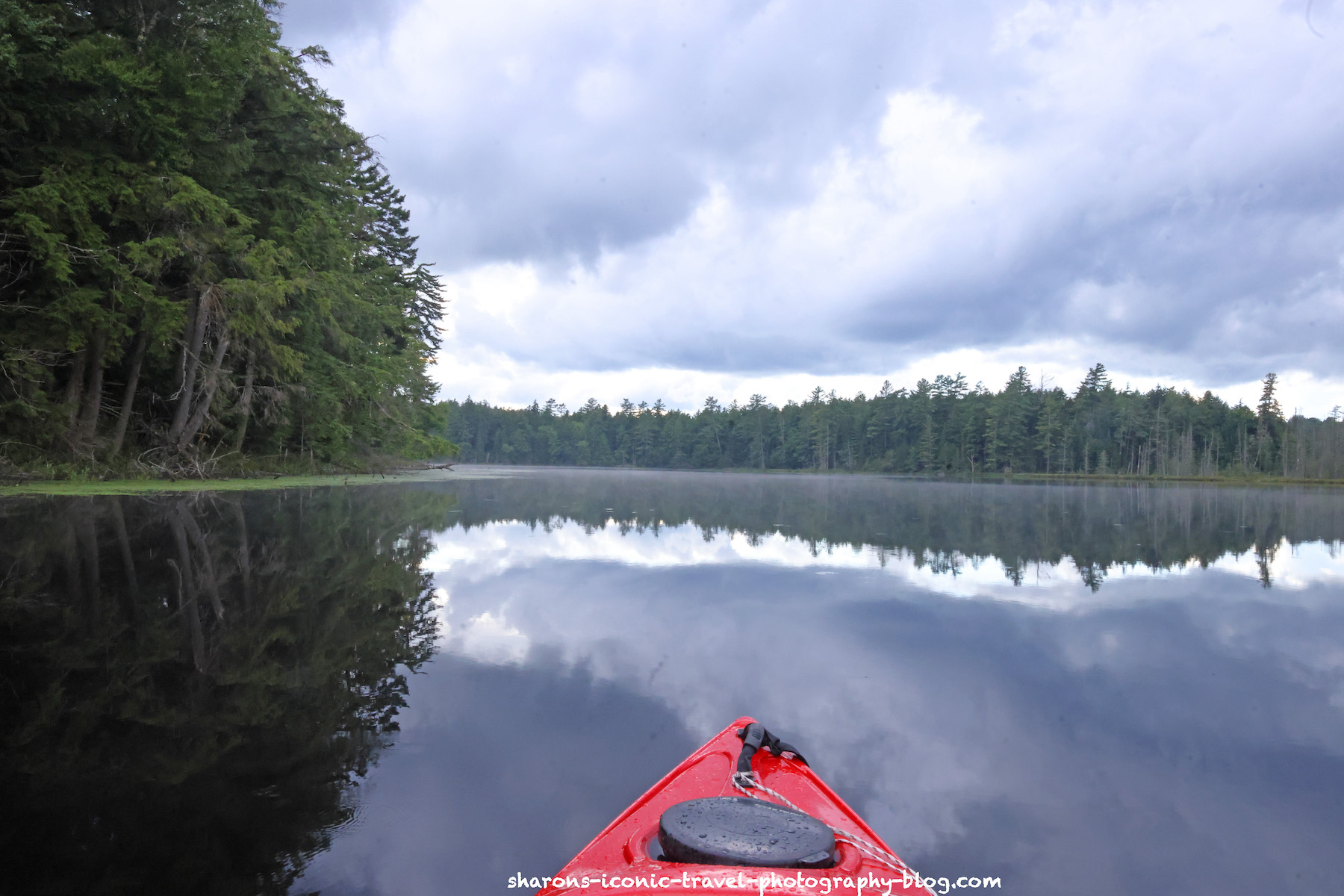 Pollywog Pond – Sharon's Iconic Travel Photography Blog