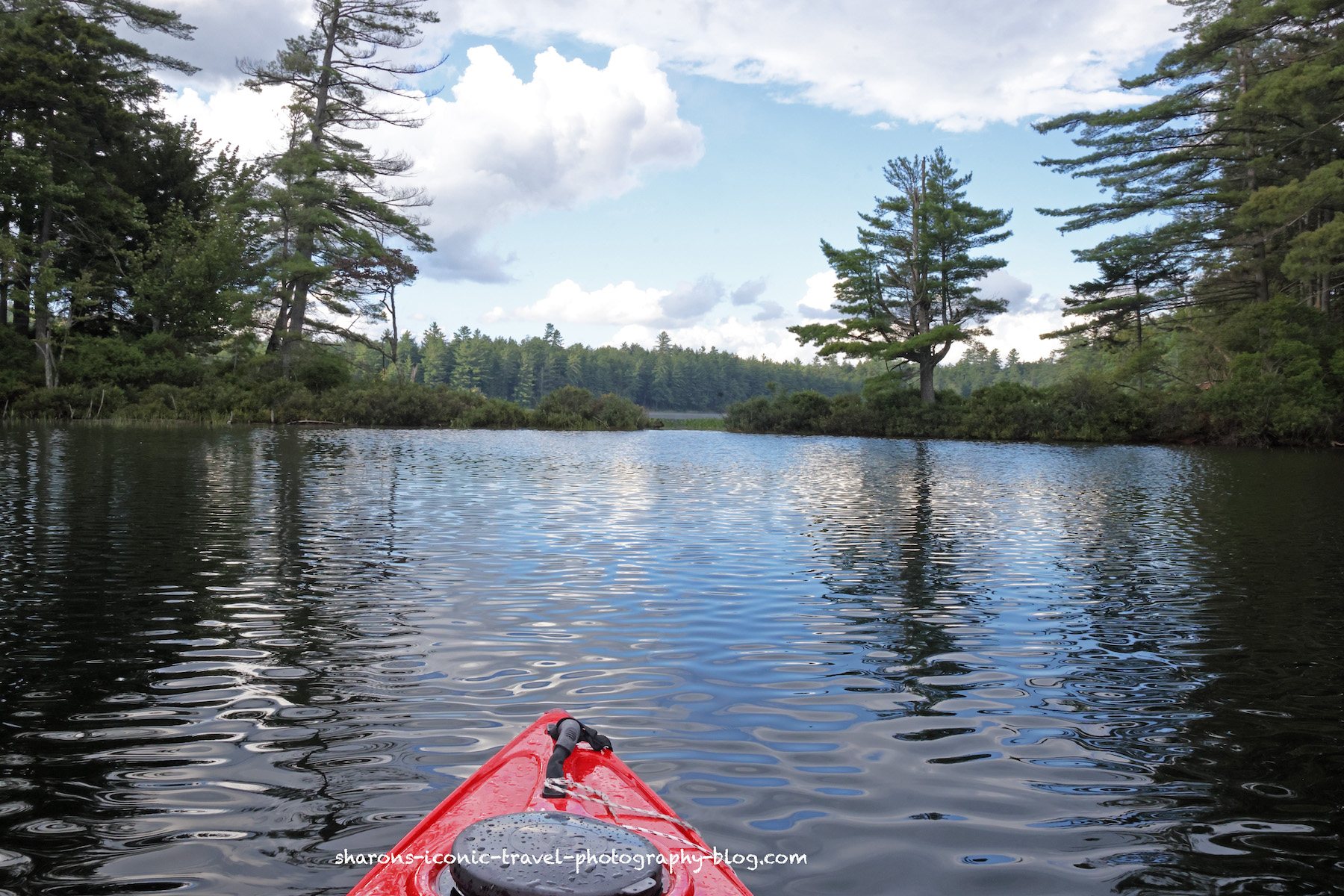 Pollywog Pond – Sharon's Iconic Travel Photography Blog