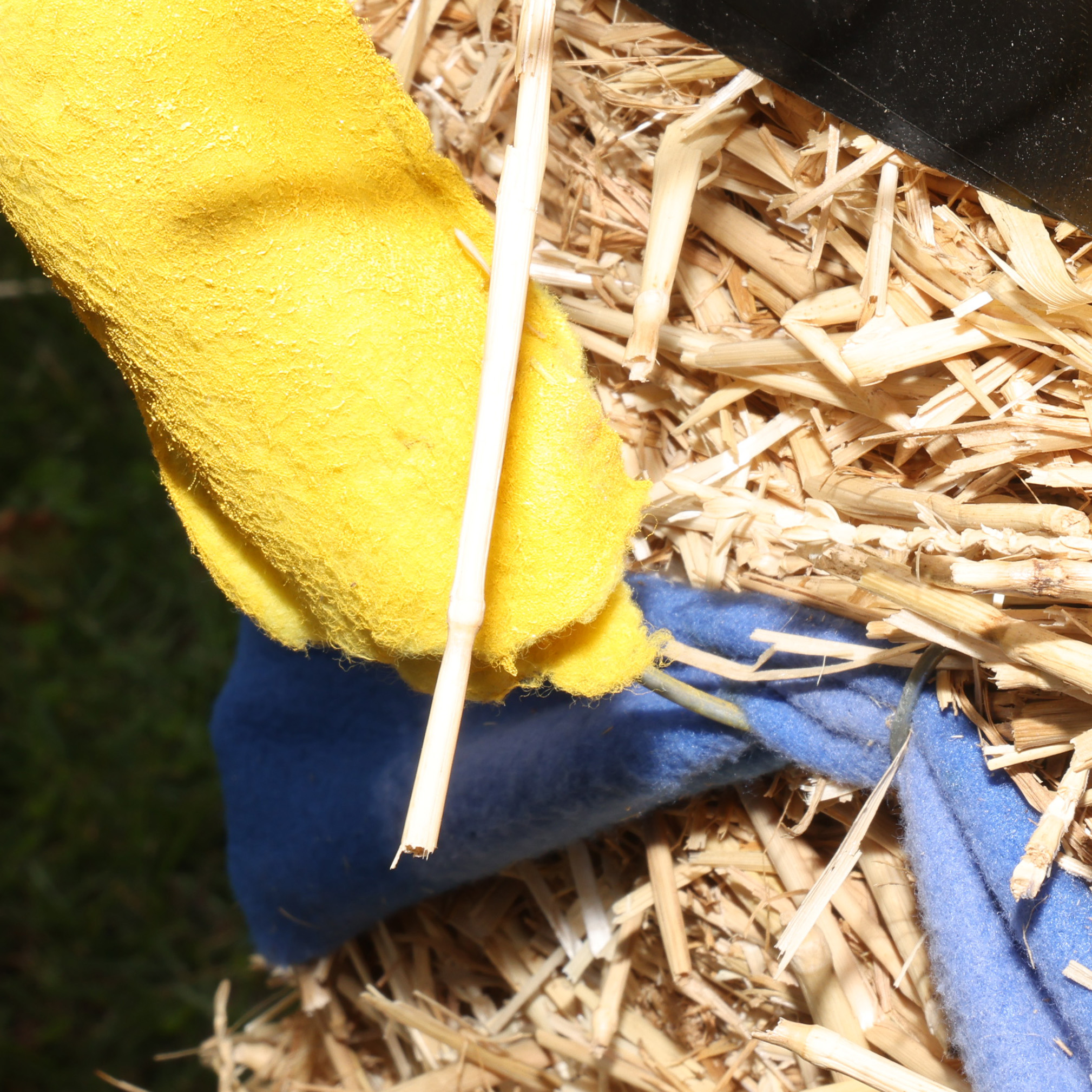 Minions Hay Bale Art 2022 – Sharon's Iconic Travel Photography Blog