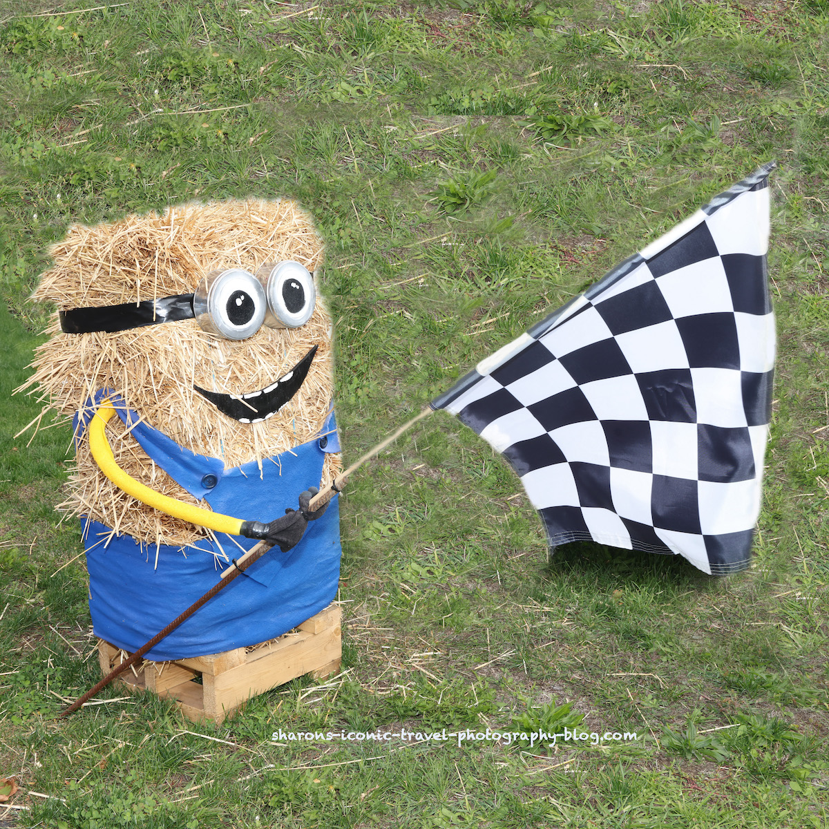 Minions Hay Bale Art 2022 – Sharon's Iconic Travel Photography Blog