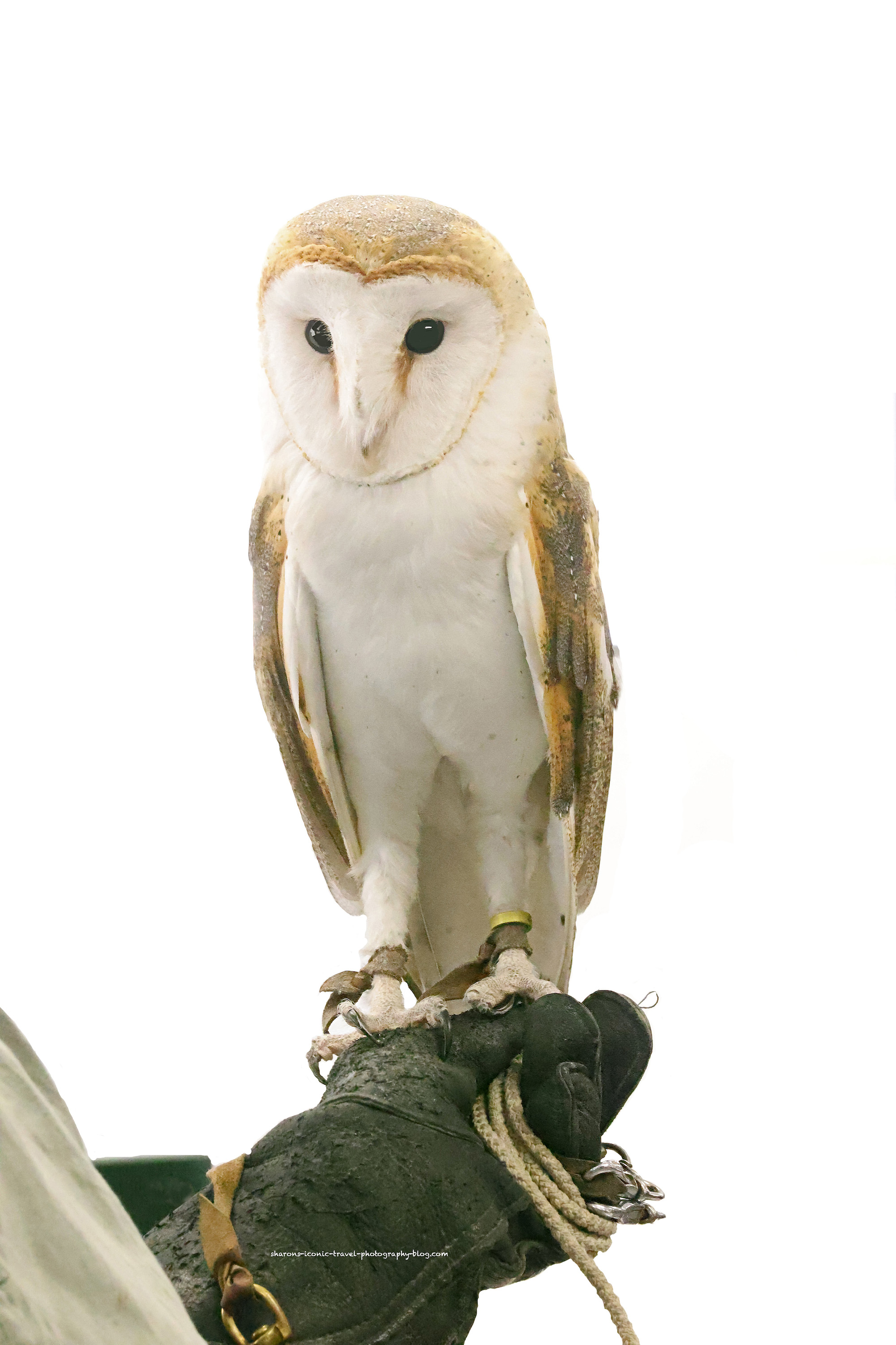 2022 – Sharon's Iconic Travel Photography Blog