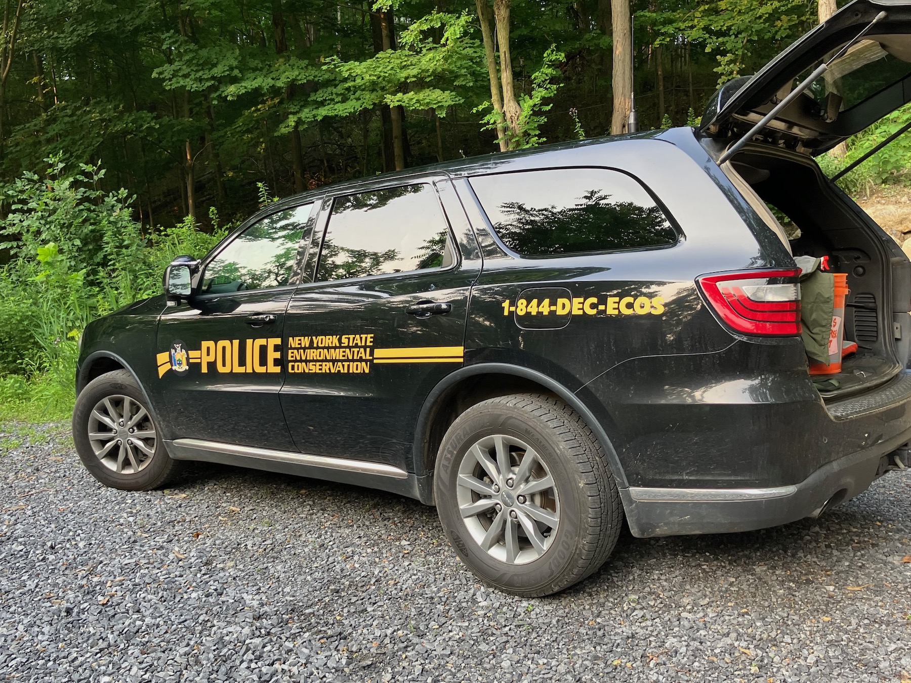 Grounded Eaglet Rescue – Sharon's Iconic Travel Photography Blog