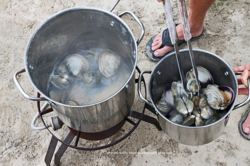 Clam Pasta with White Sauce – Sharon's Iconic Travel Photography Blog
