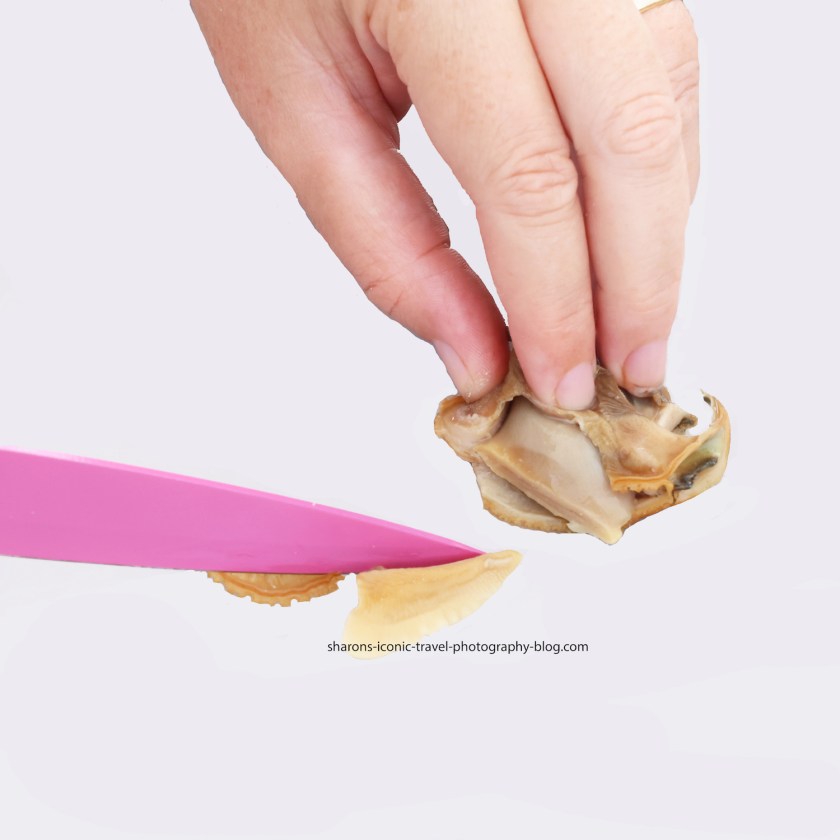 Clam Pasta with White Sauce – Sharon's Iconic Travel Photography Blog