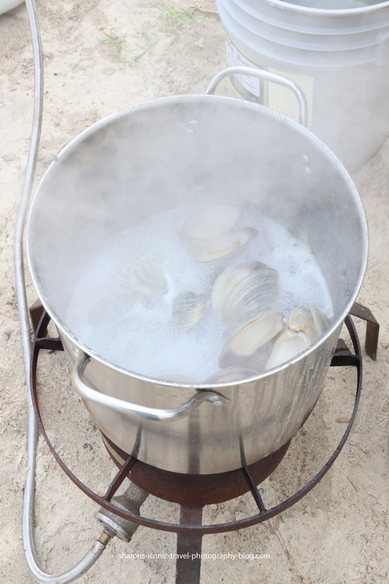 Clam Pasta with White Sauce – Sharon's Iconic Travel Photography Blog