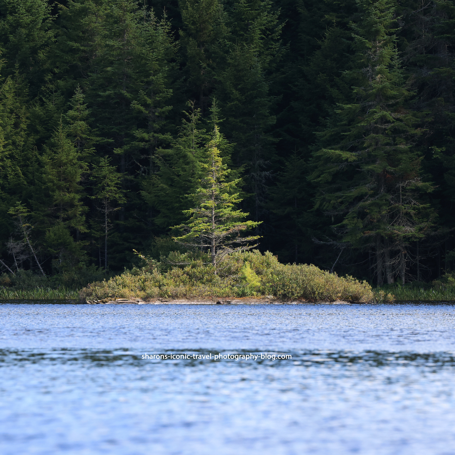 Black Pond at Paul Smiths – Sharon's Iconic Travel Photography Blog