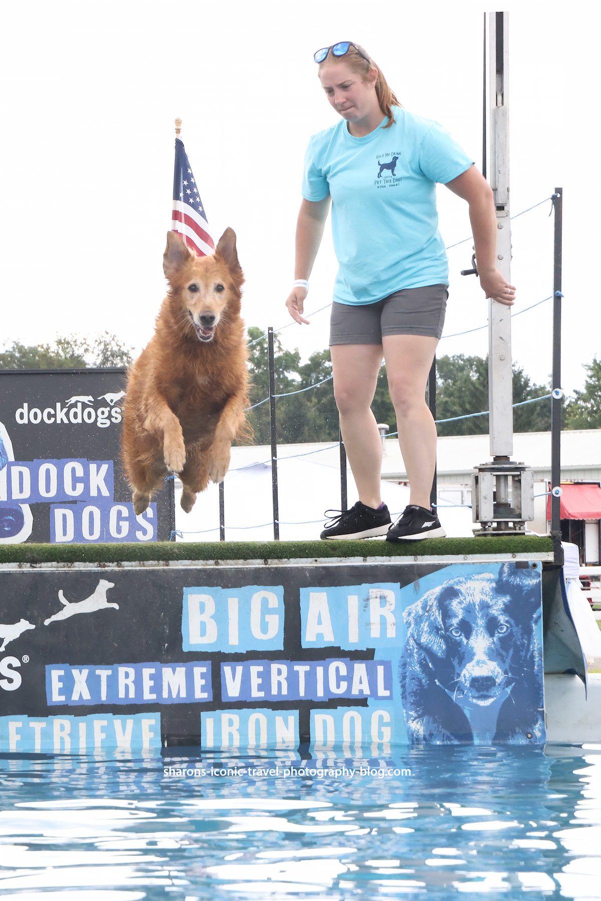 Dock Dogs at the Dutchess County Fair 23 – Sharon's Iconic Travel ...