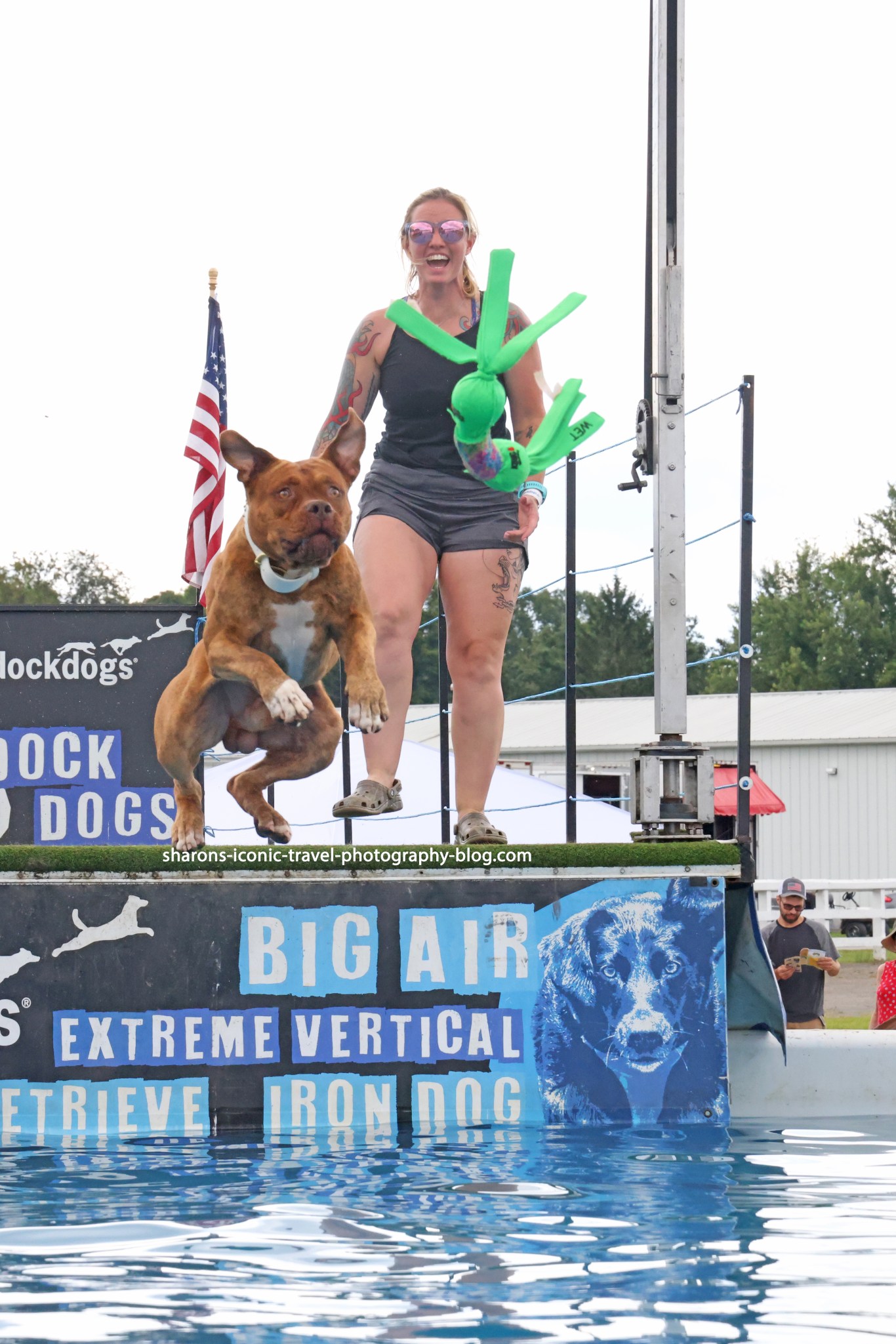 Dock Dogs at the Dutchess County Fair 23 – Sharon's Iconic Travel ...