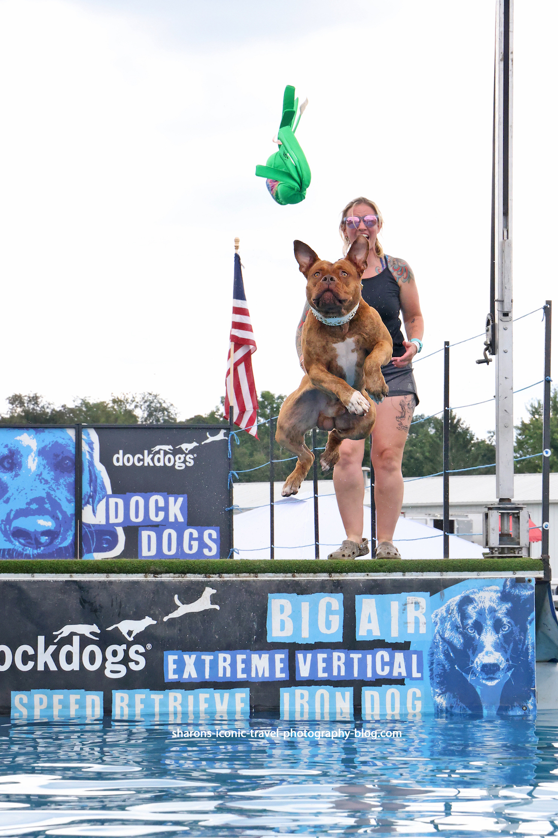 Dock Dogs at the Dutchess County Fair 23 – Sharon's Iconic Travel ...