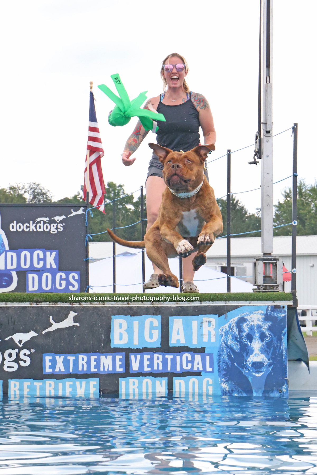 BI8A4239dog dock dog_blog – Sharon's Iconic Travel Photography Blog