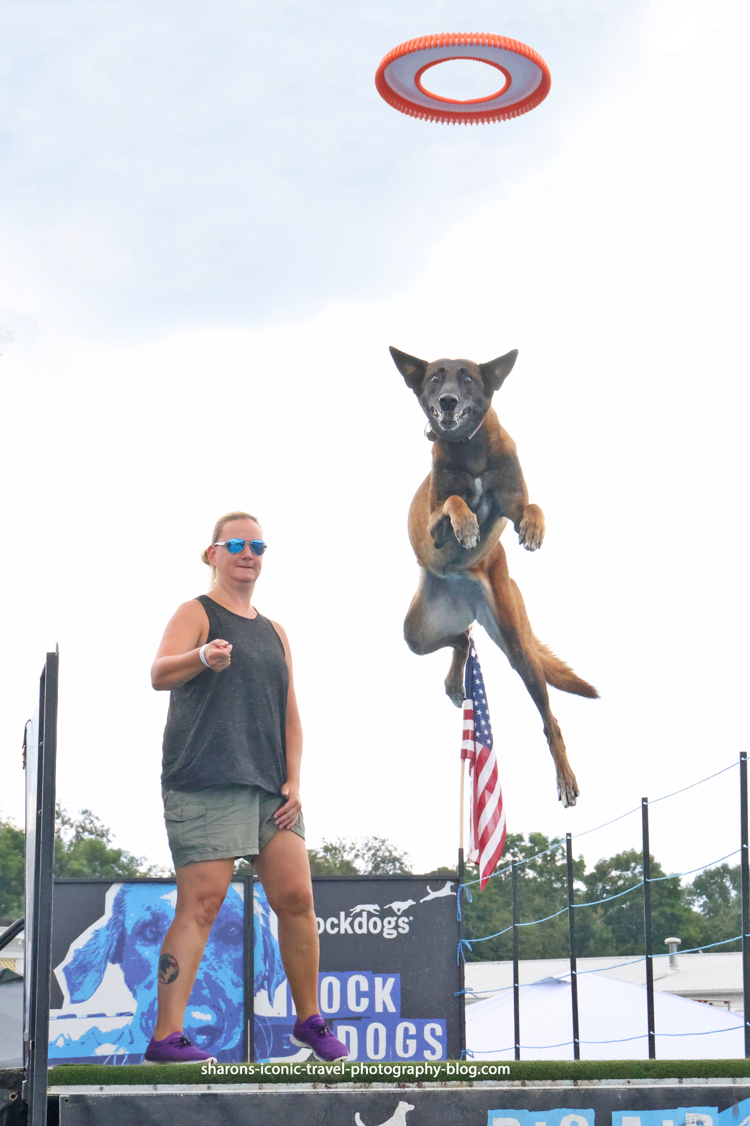 dock dogs_edited-blog – Sharon's Iconic Travel Photography Blog