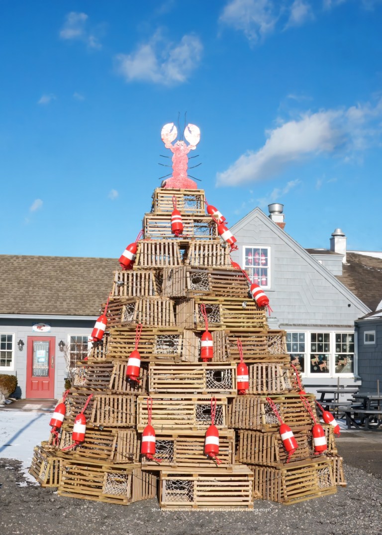 Wooden Lobster Trap Trees – Sharon's Iconic Travel Photography Blog
