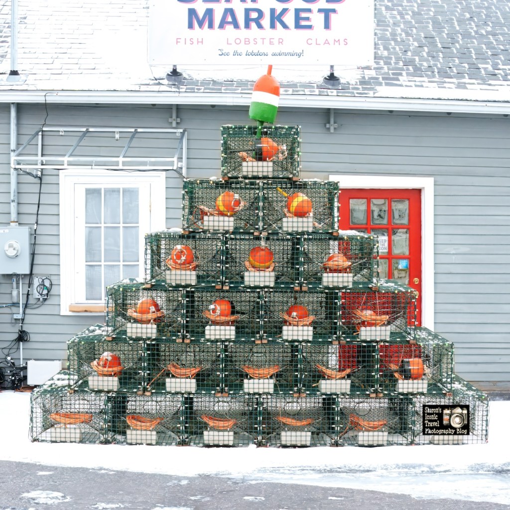 #MetalLobsterTrapChristmasTree – Sharon's Iconic Travel Photography Blog